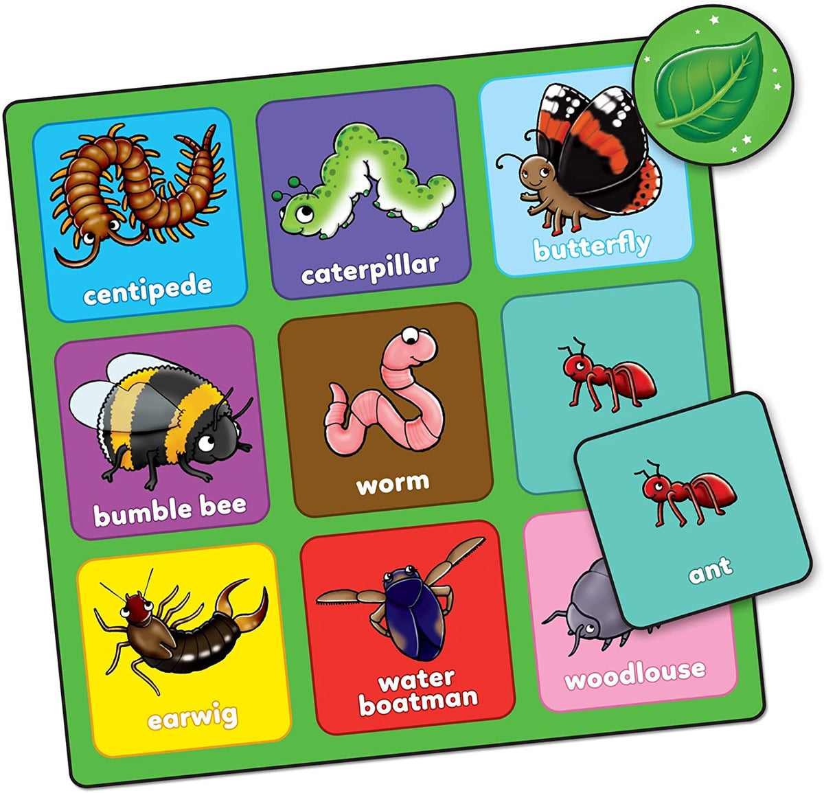 Little Bug Bingo – Barefoot Toys